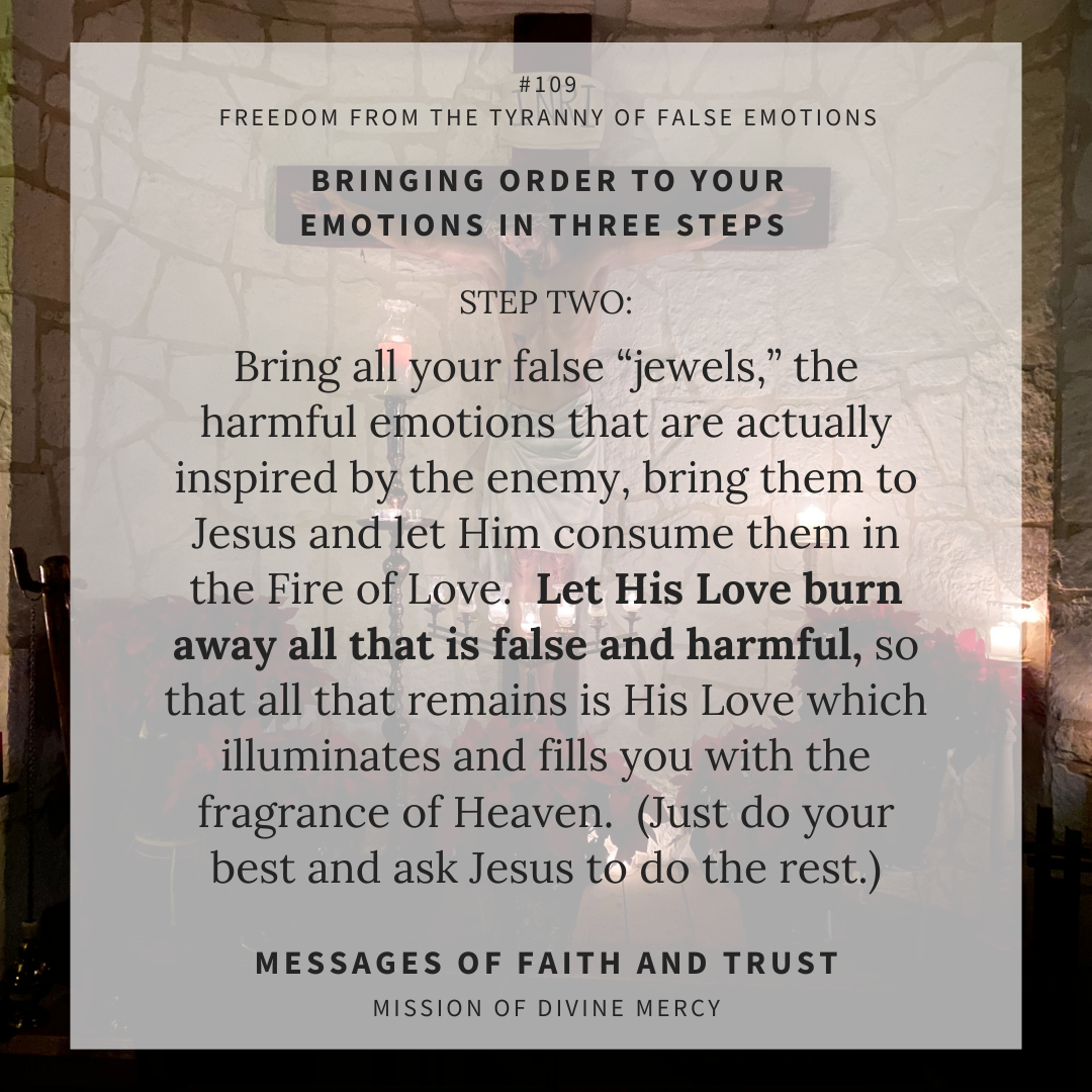 #109 Bringing Order To Emotions | Mission of Divine Mercy